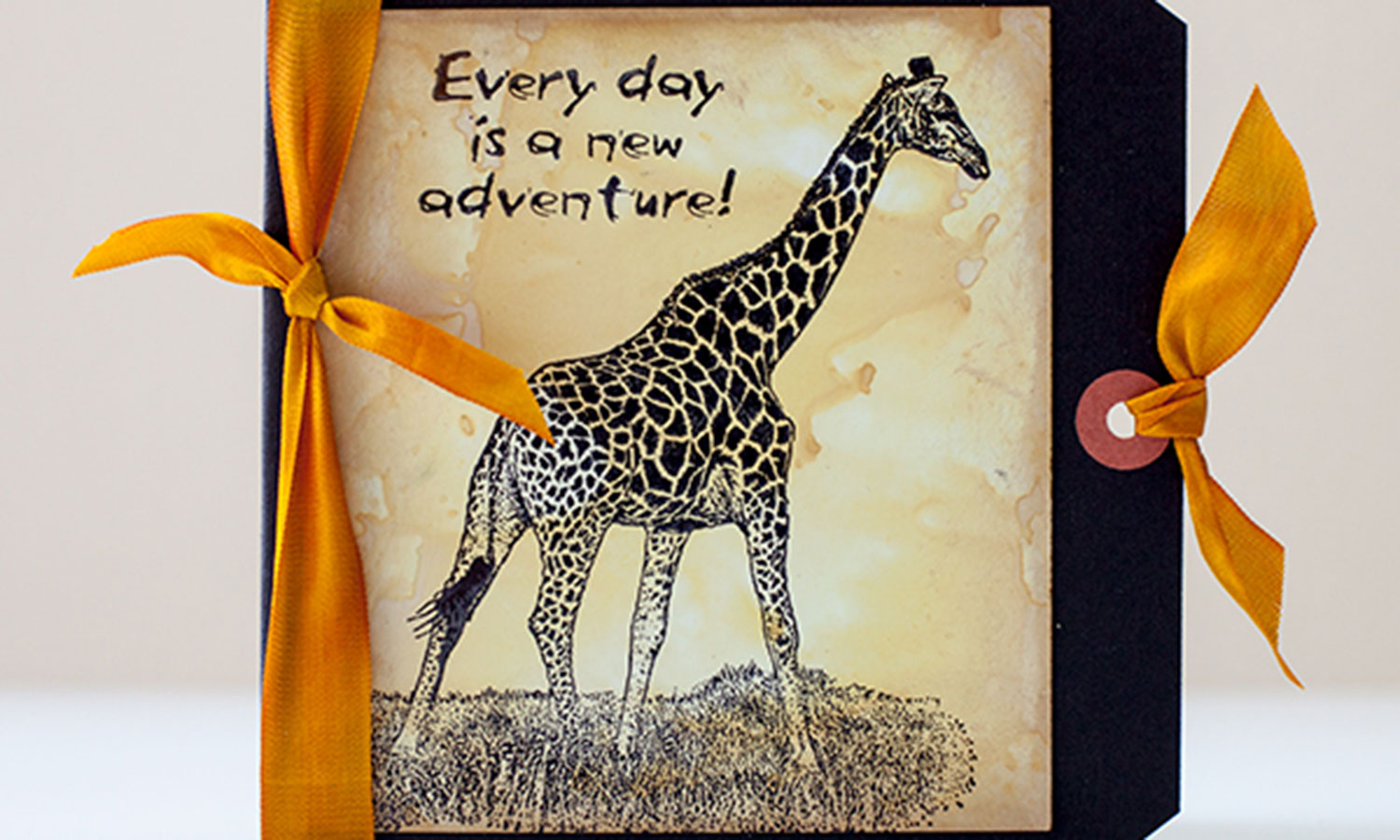 Wild Africa Vol 1 - Zebra and Giraffe Cards and Video